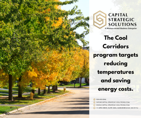 State of Massachusetts Cool Corridors Tree Planting Grant Applications Open Through August 2 ...