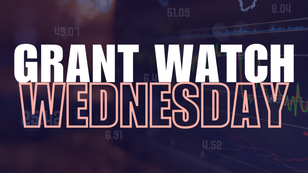 Grant Watch Wednesday - Capital Strategic Solutions (CSS)